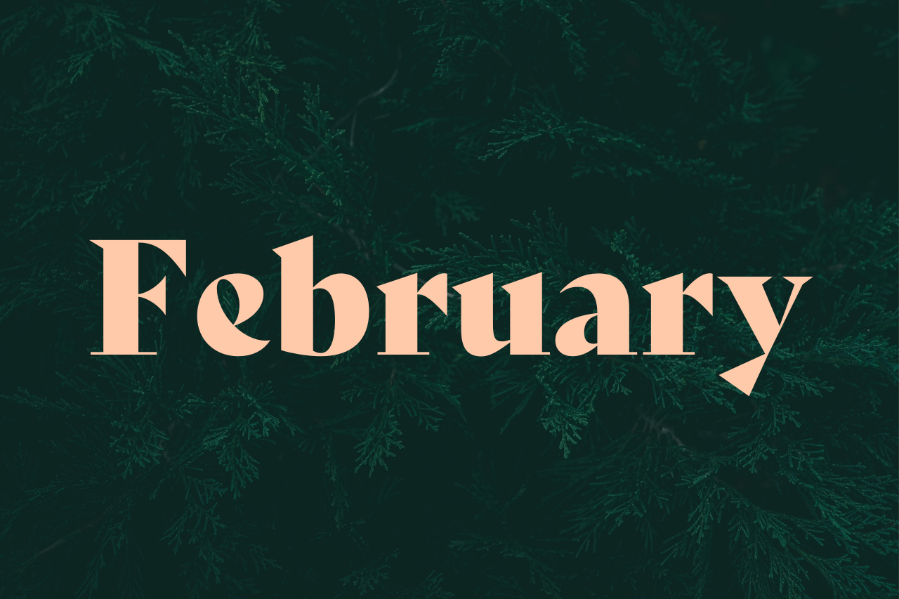 February Right Now Report - Right Relations
